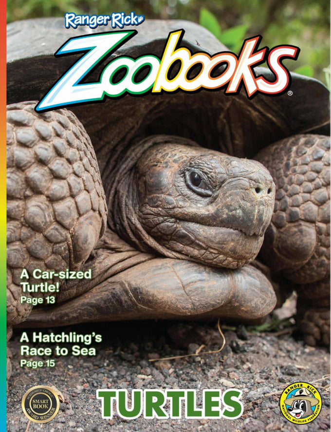 Zoobooks Magazine Print Subscription – RocketMags