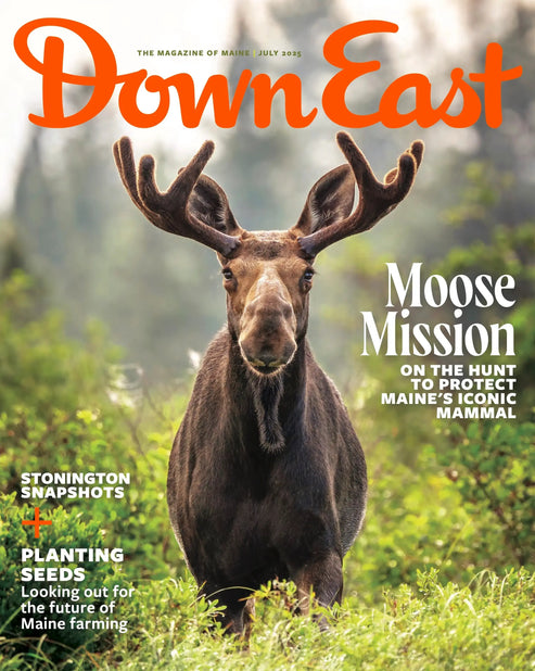 Down East Magazine Subscription Print Edition 1 Year 12 Issues – RocketMags