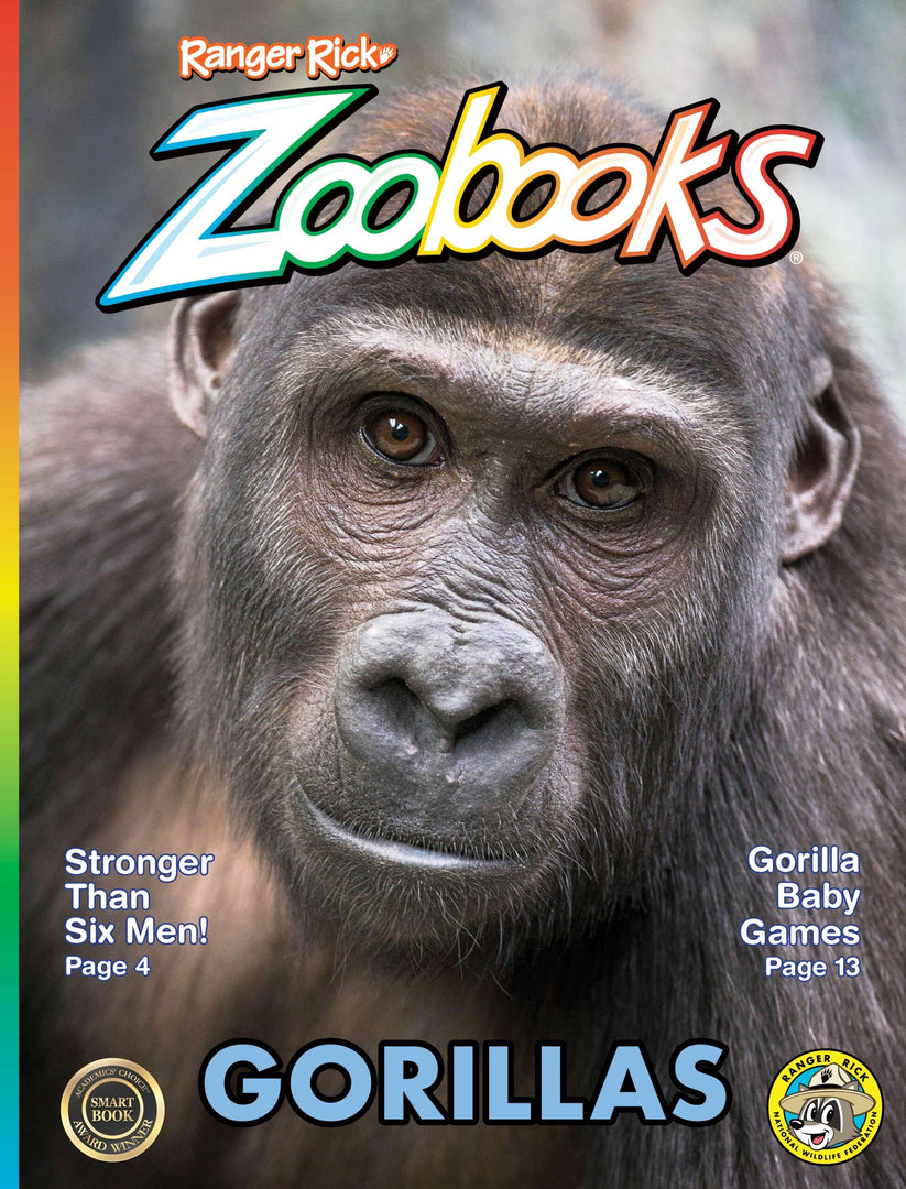 Zoobooks Magazine Print Subscription – RocketMags
