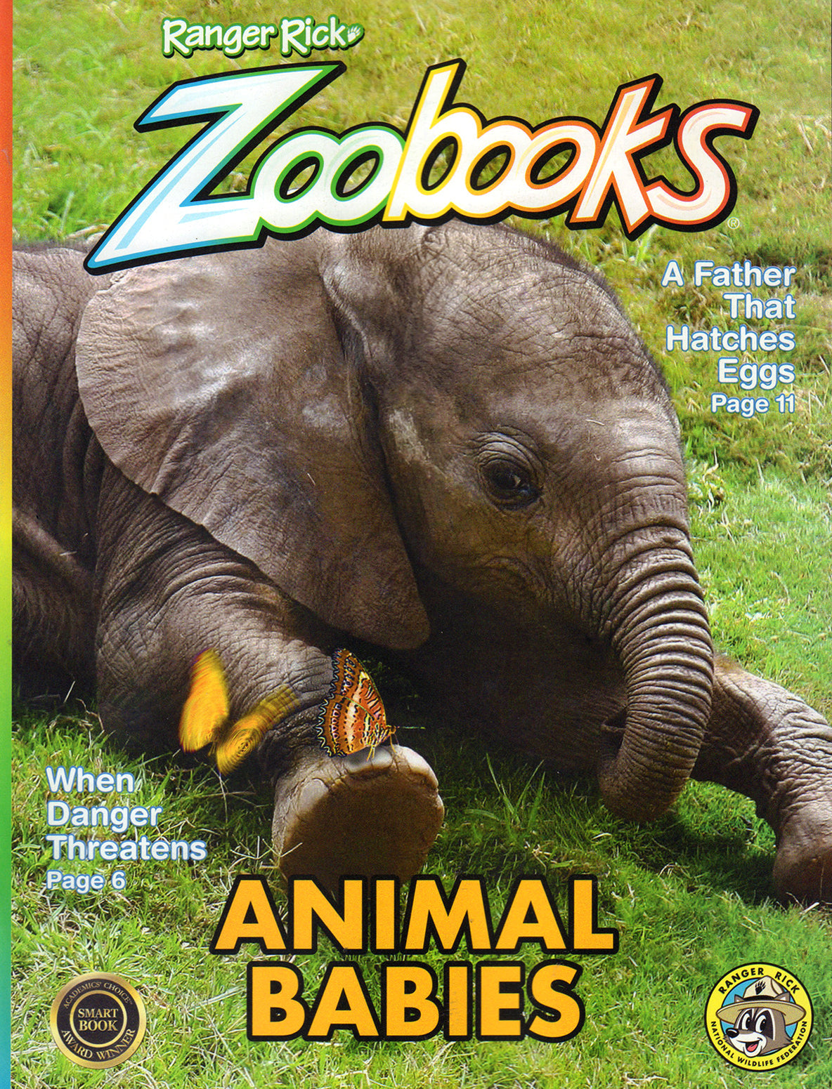 Zoobooks Magazine Print Subscription – RocketMags